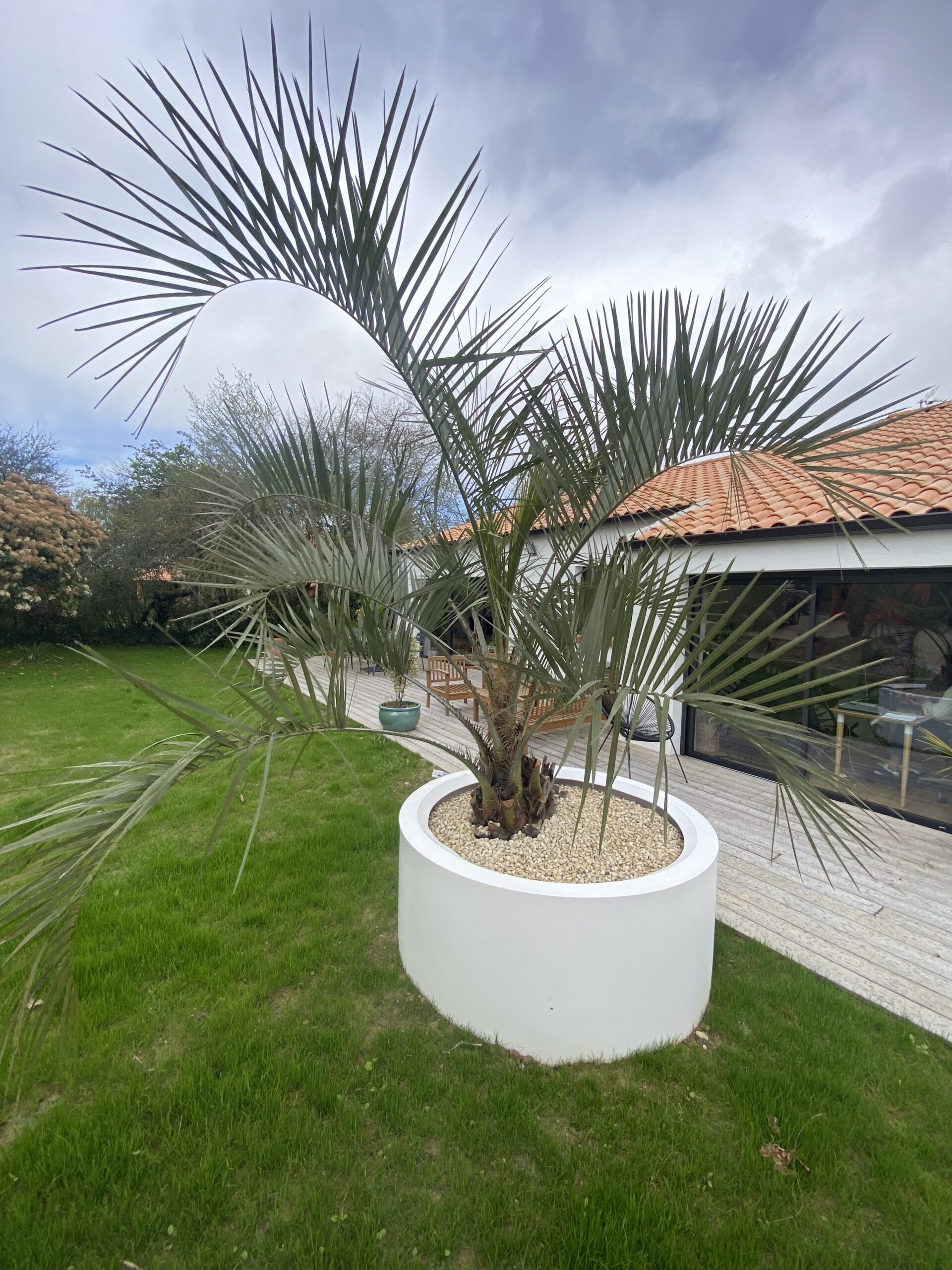 Décoration paysagère